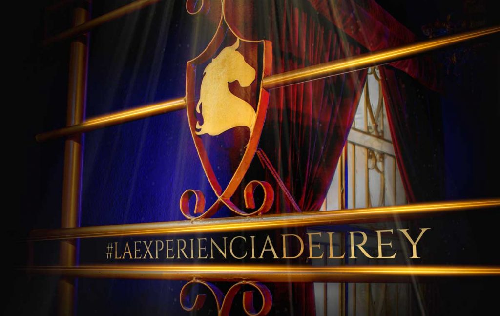 ledr | CLUB PALOMINO [VITACURA]