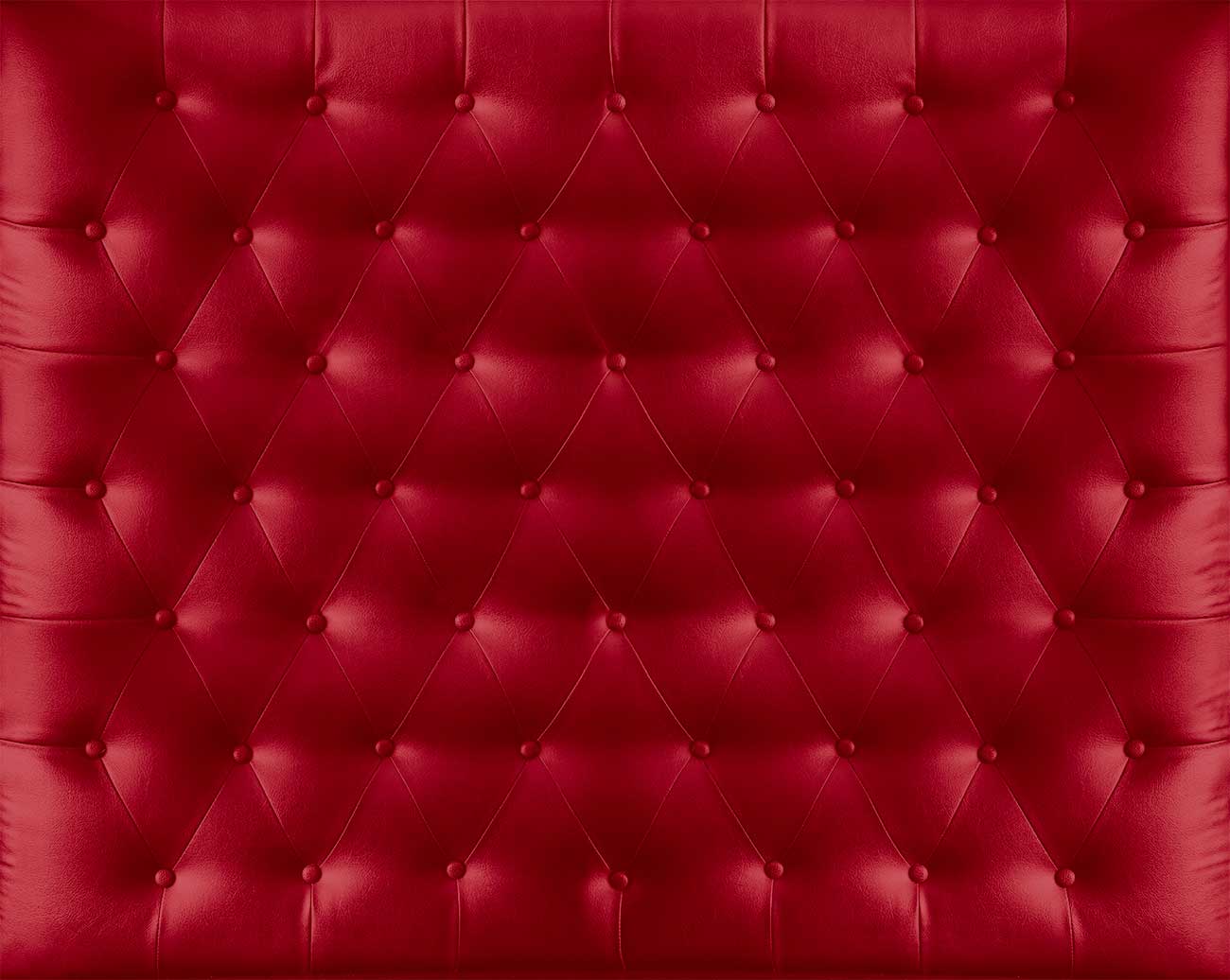 01 | CLUB PALOMINO [VITACURA]